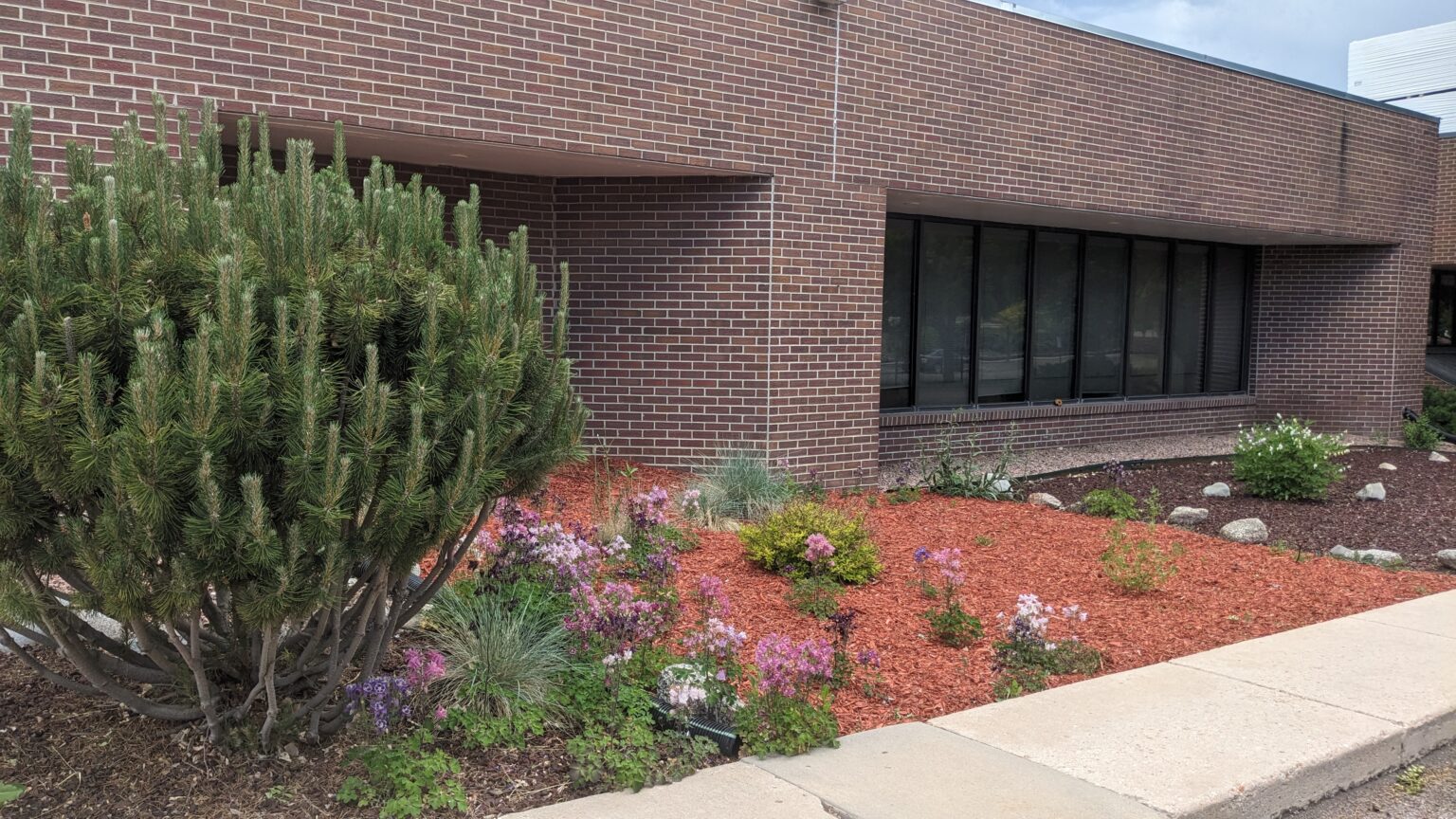 Outdoor Improvements Spring 2024 – Mission Medical Center